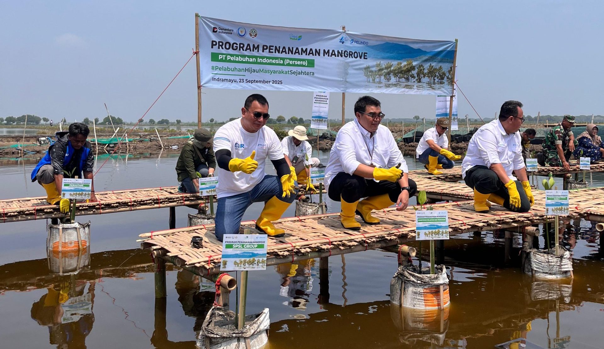 PT MMI Rayakan Pelindo Day dengan Penanaman Mangrove